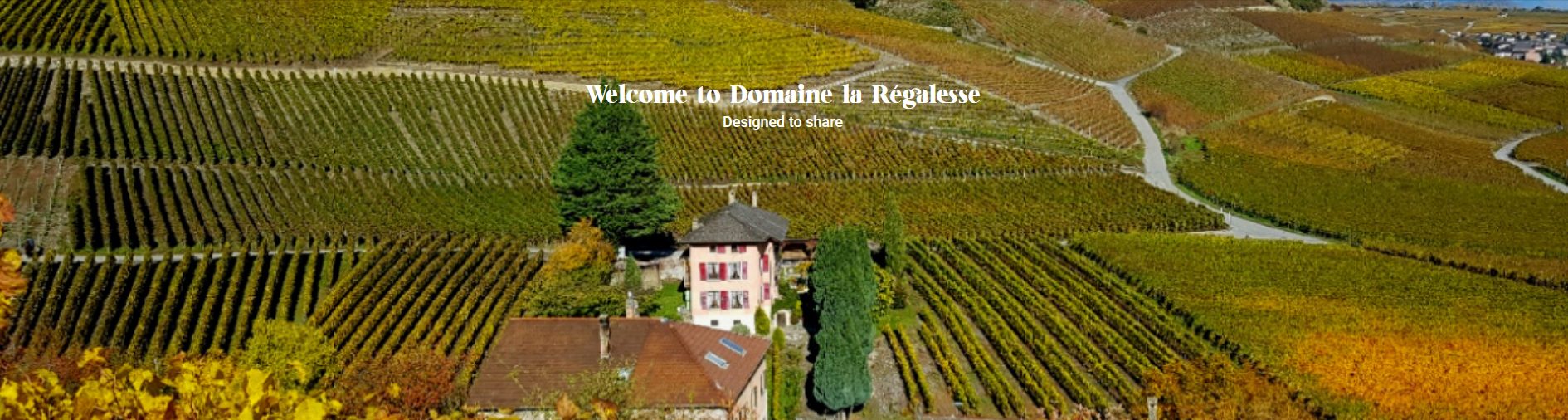 Social activities ‒ LAPD 21 ‐ EPFL